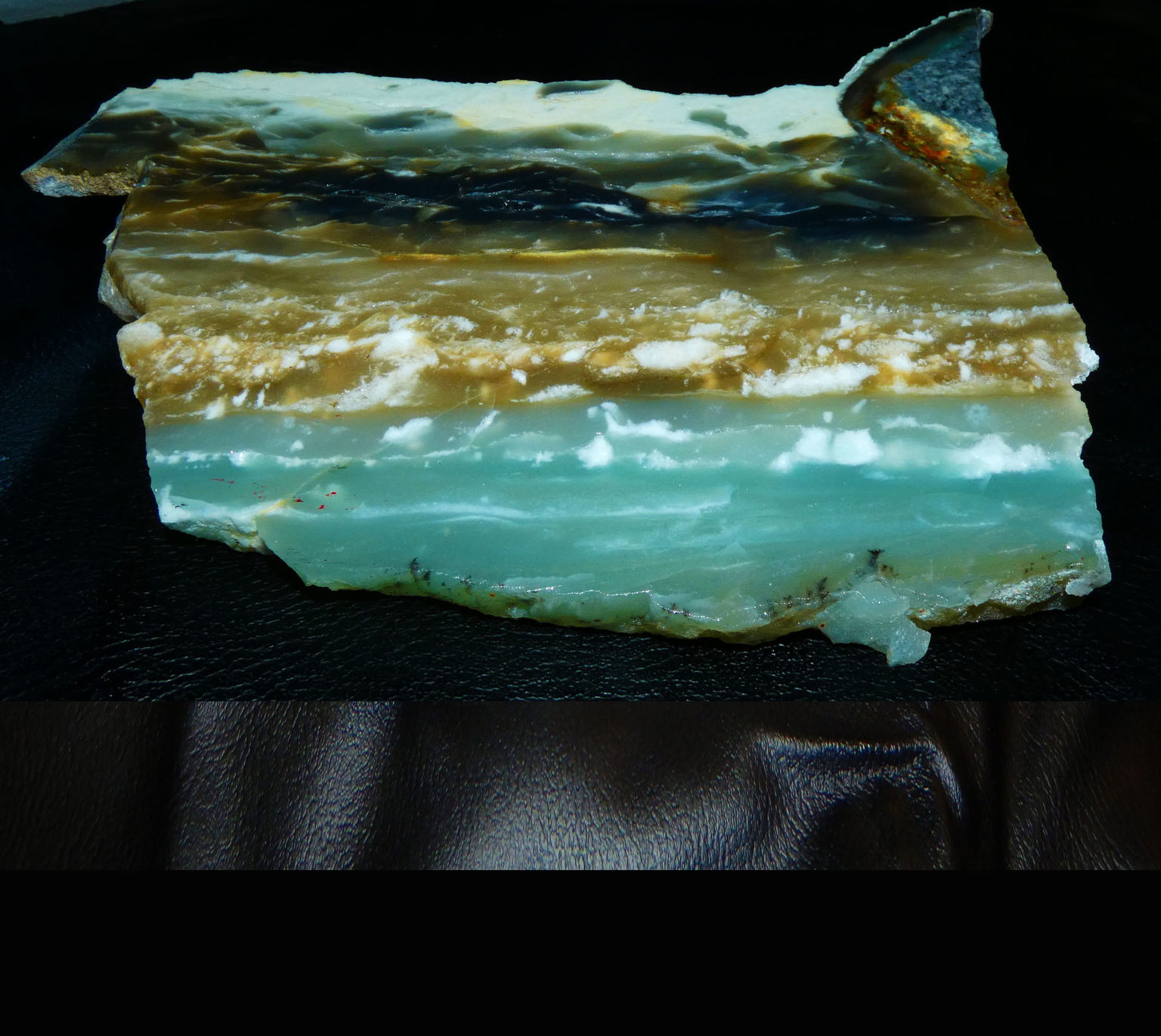 BC Ocean Picture Stone – Dan Hurd Prospecting