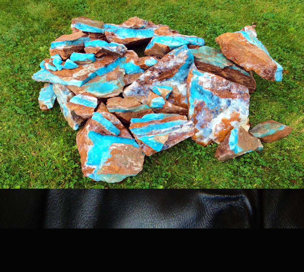 BC Ocean Picture Stone – Dan Hurd Prospecting