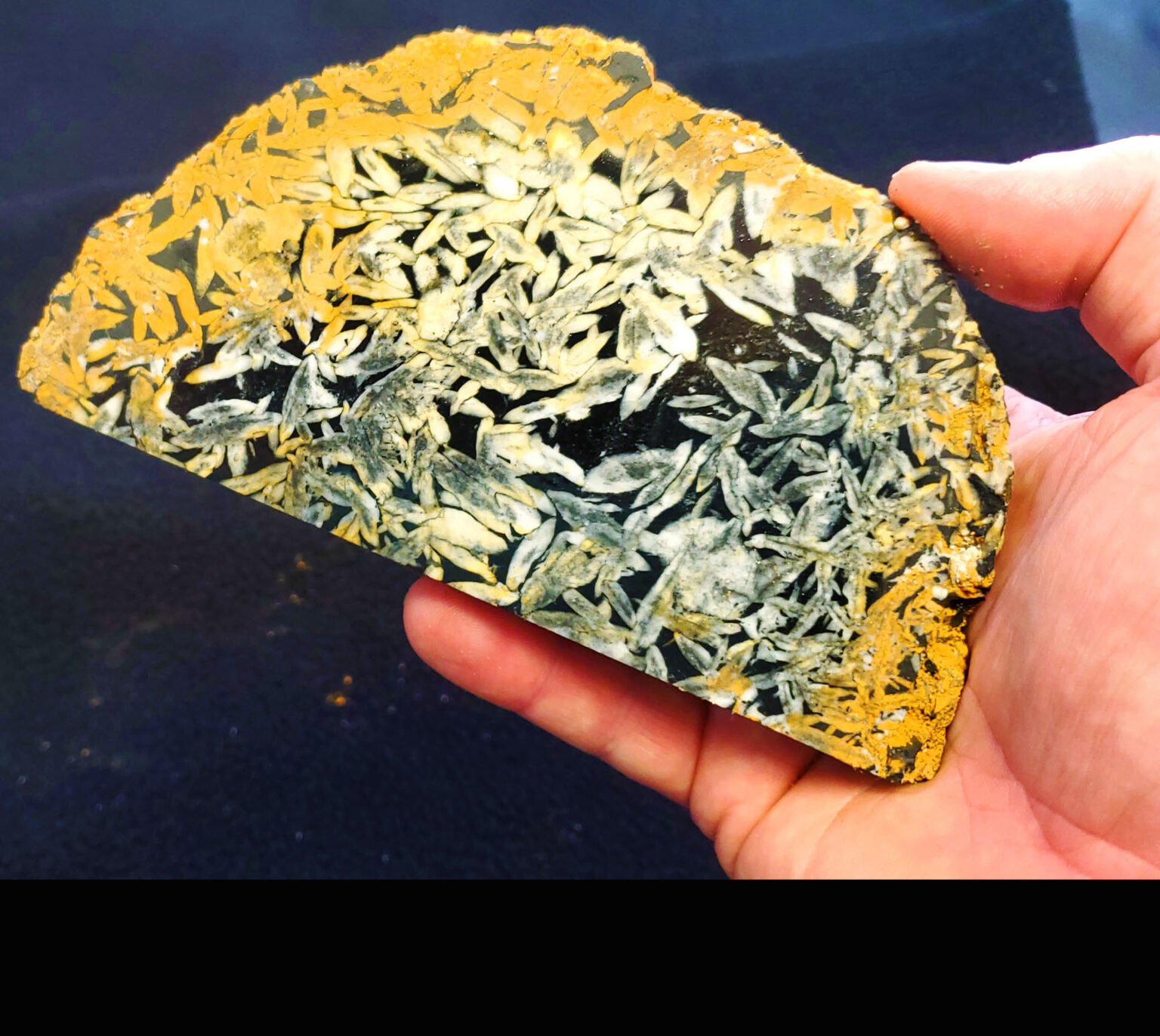 Pinolite – Dan Hurd Prospecting