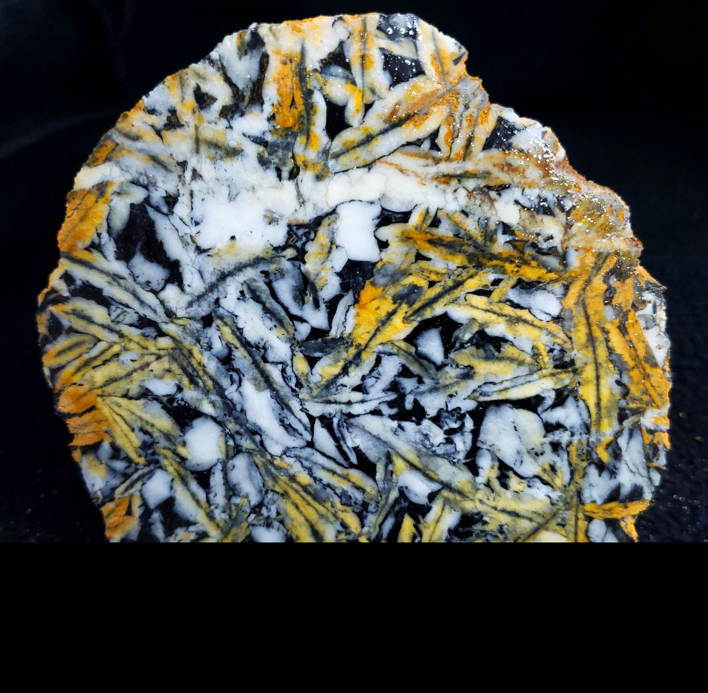 Shop – Dan Hurd Prospecting