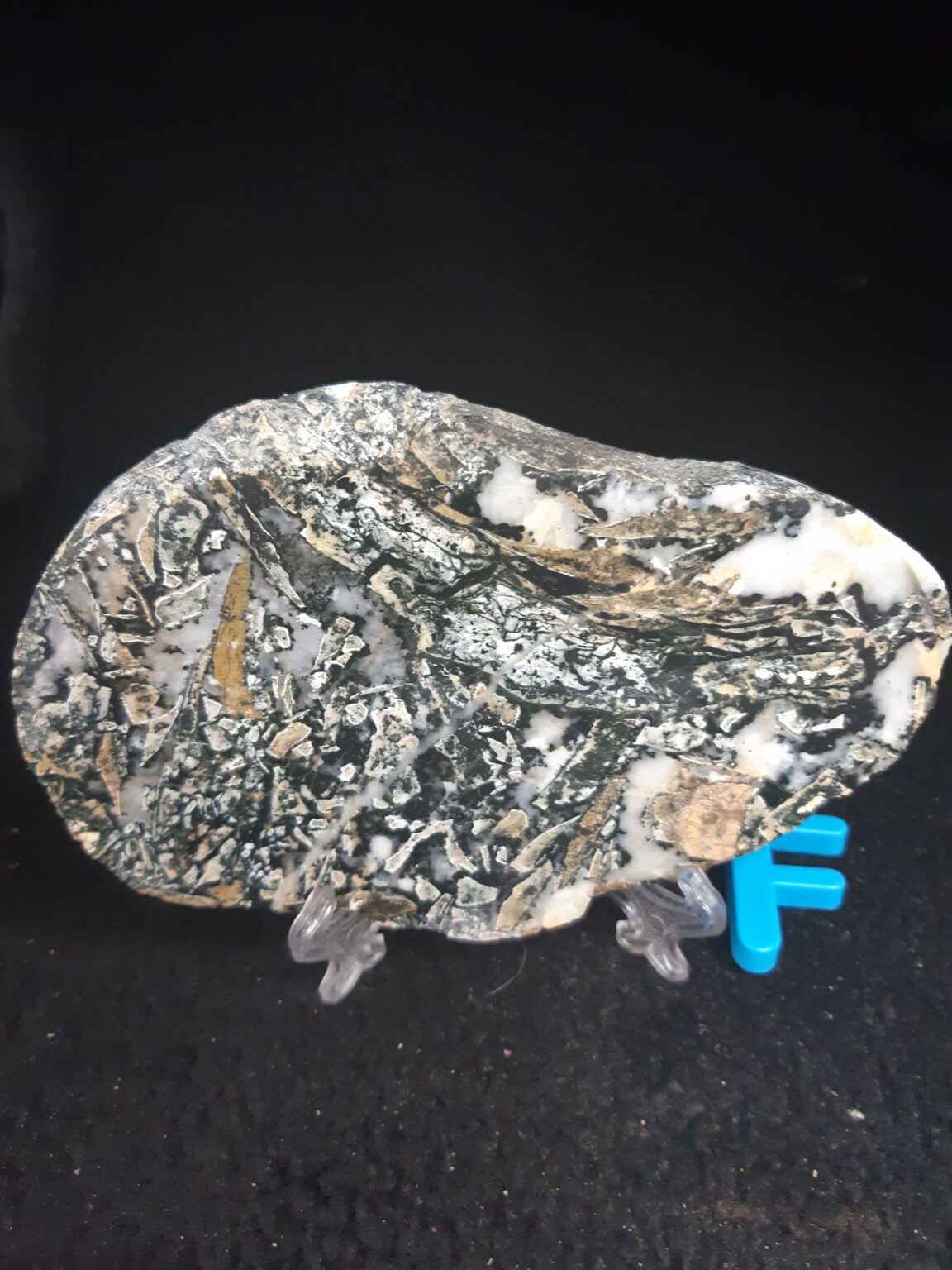 Dallasite Slabs – Dan Hurd Prospecting