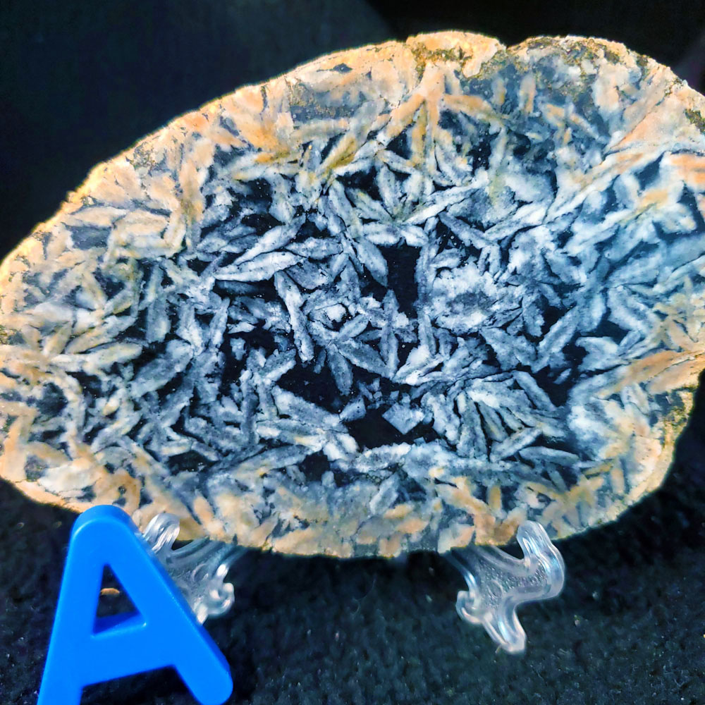 Pinolite – Dan Hurd Prospecting