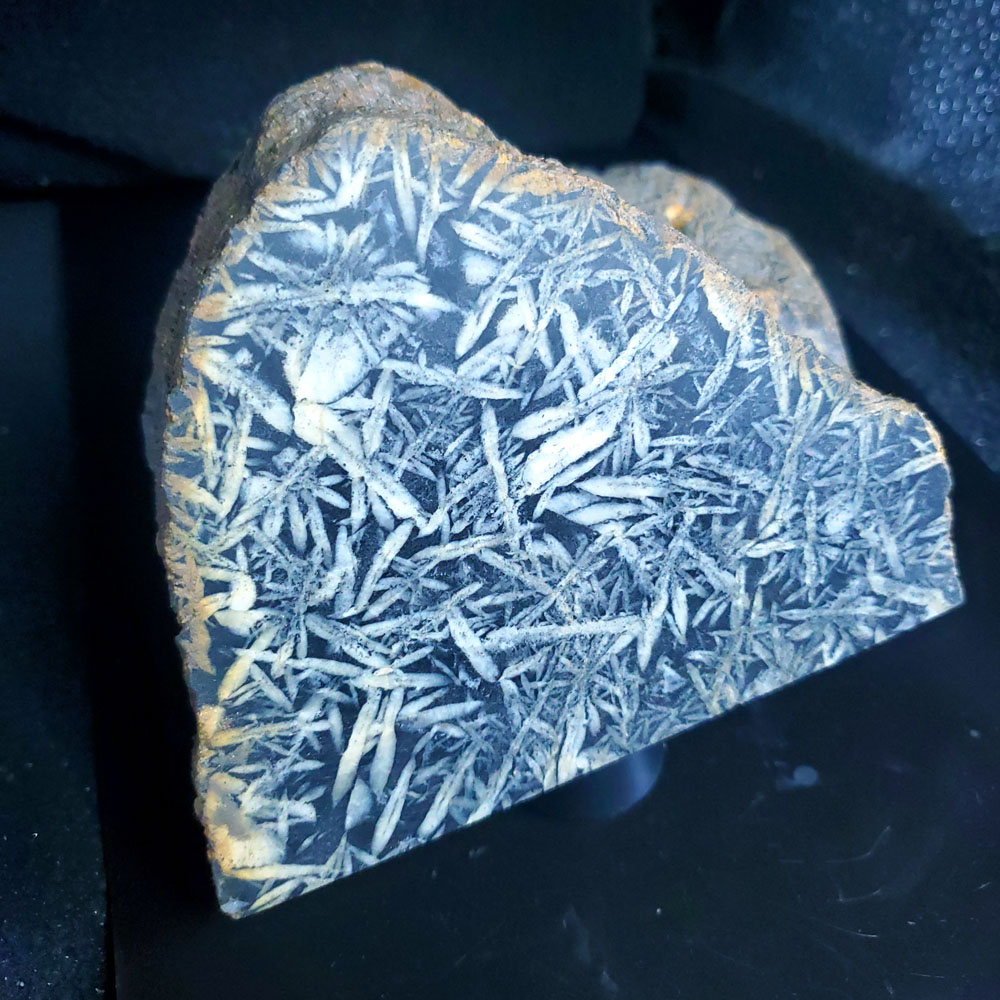 Pinolite – Specimen R – Dan Hurd Prospecting
