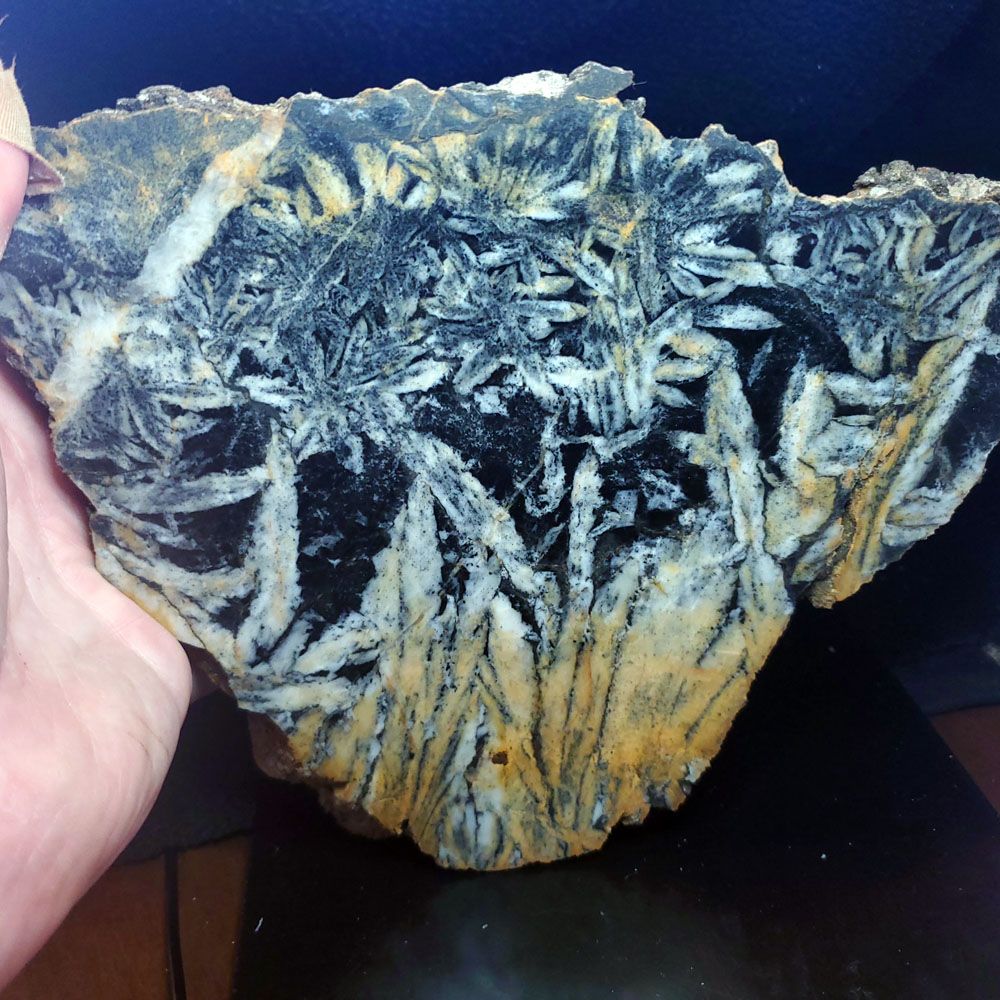 Pinolite – Specimen X – Dan Hurd Prospecting